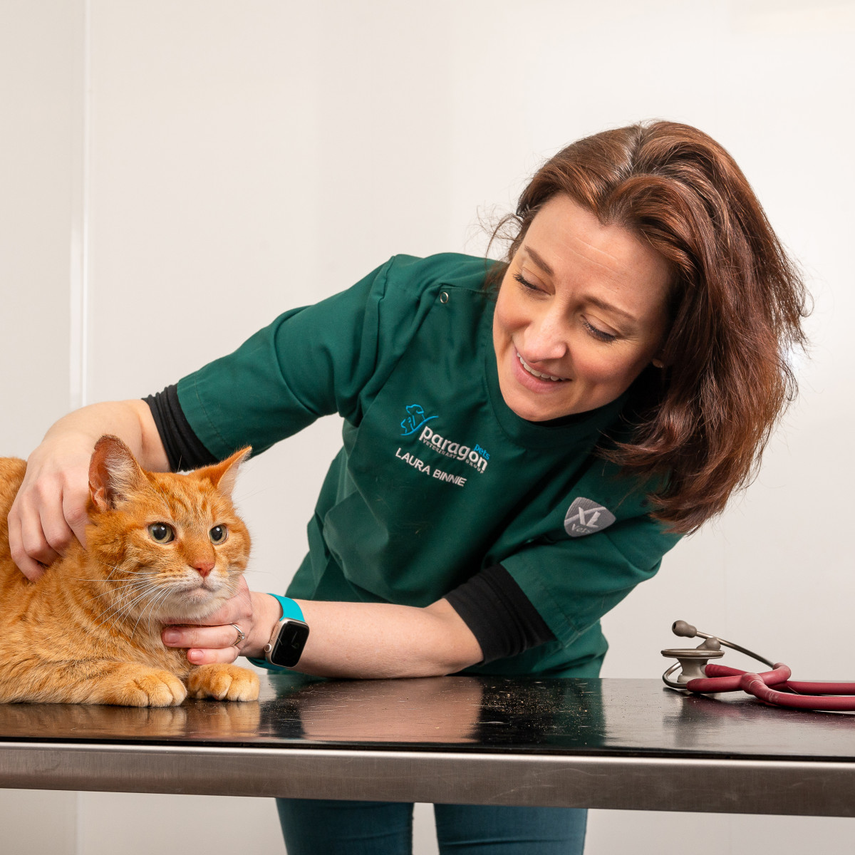 Spaying | Paragon Vets