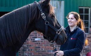 Vacancies at Paragon | Paragon Vets