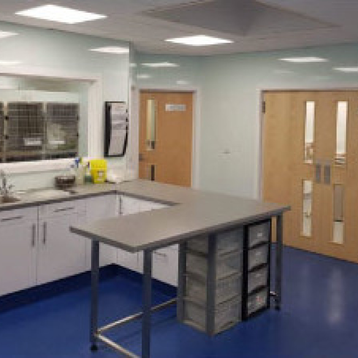 New Facilities Open to Pets At Dalston | Paragon Vets