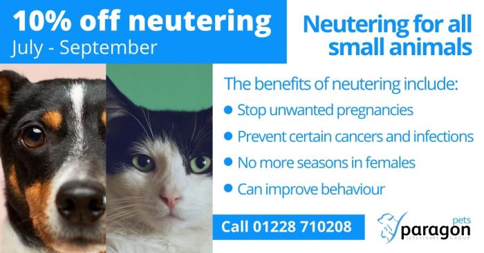 How neutering prevents life threatening infections | Paragon Vets