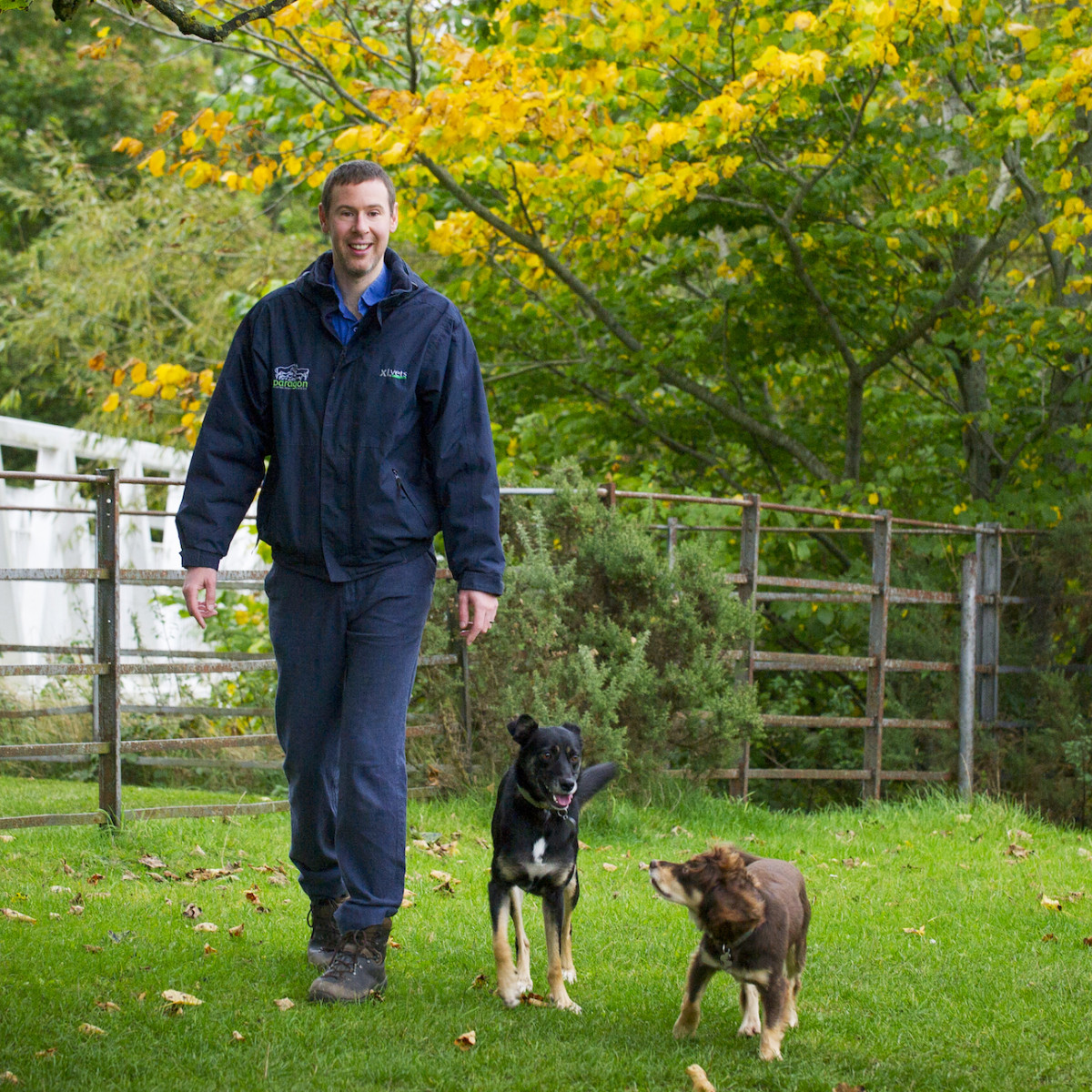 Walking dogs in the countryside | Paragon Vets