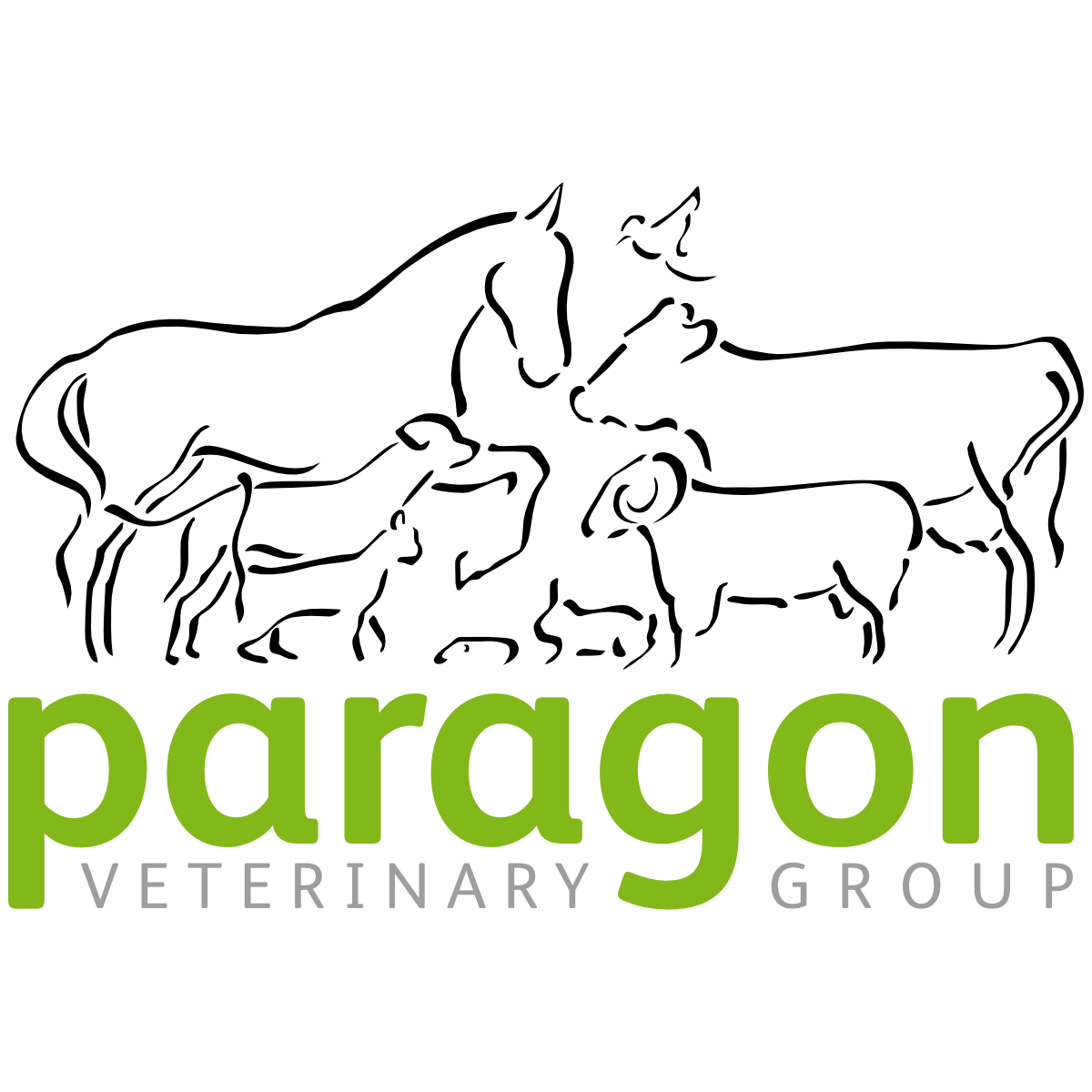 About Us | Paragon Vets