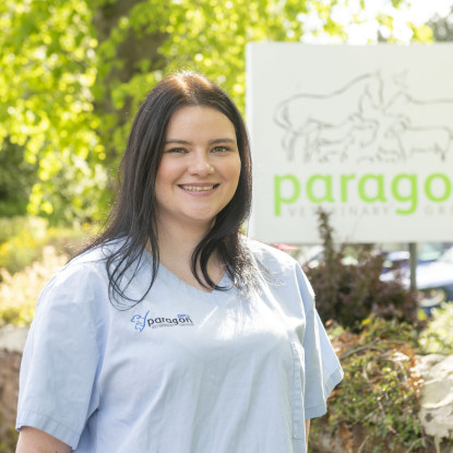 Meet the Team | Paragon Vets