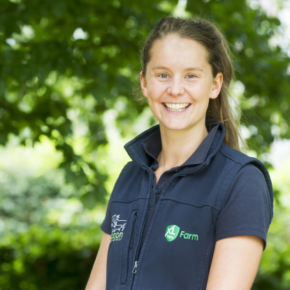 Meet the Team | Paragon Vets
