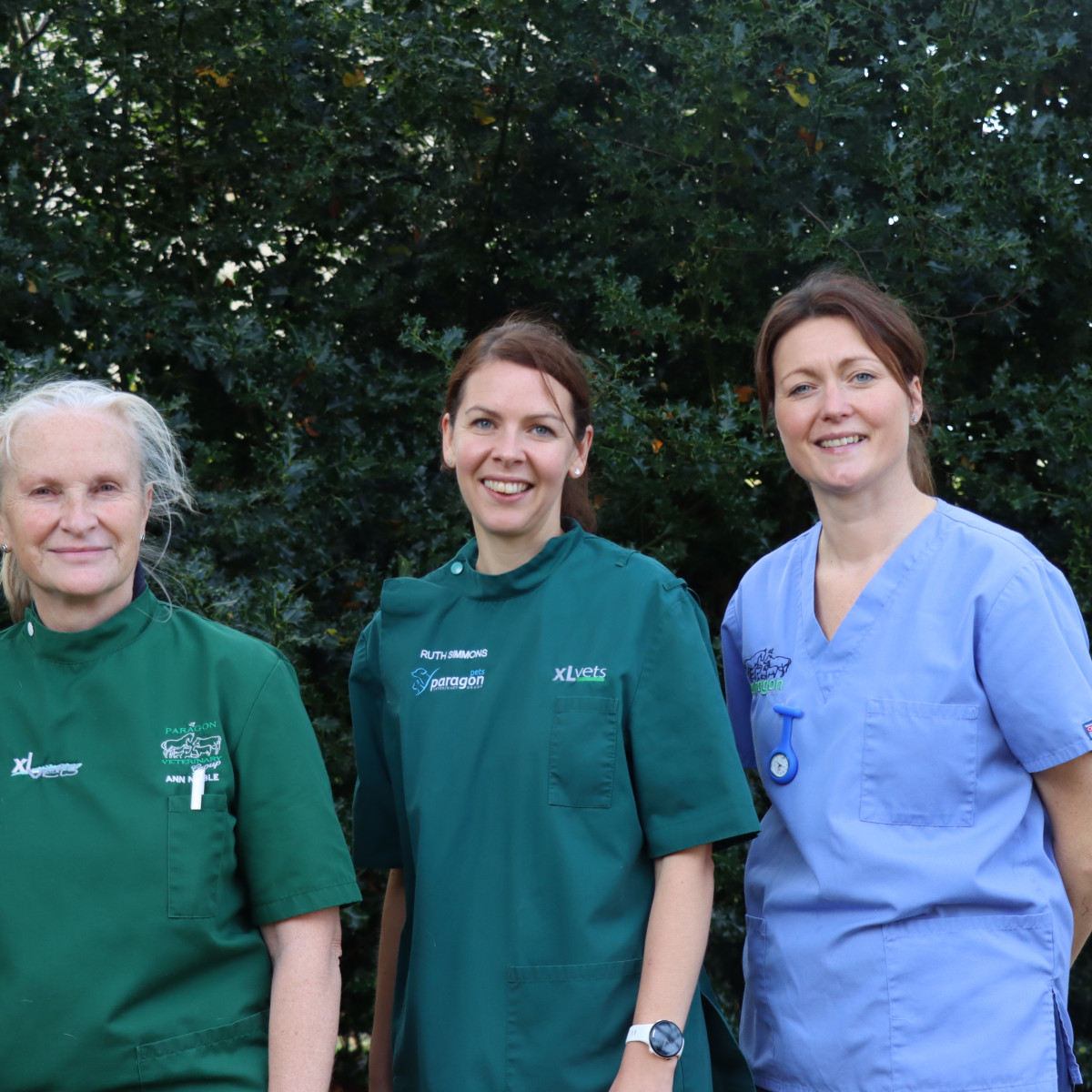 Feline great about gold status | Paragon Vets